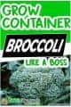 Growing Broccoli in Containers | 10 Tips You MUST Know | Green Thumb ...