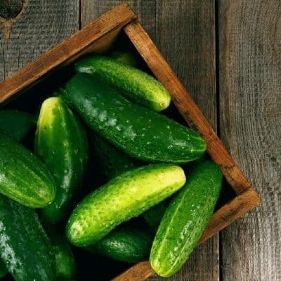 40 Best Cucumber Varieties You Want to Grow | Green Thumb Gardener