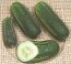 40 Best Cucumber Varieties You Want to Grow | Green Thumb Gardener
