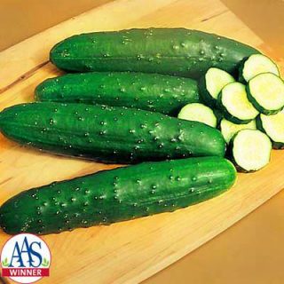 40 Best Cucumber Varieties You Want to Grow | Green Thumb Gardener