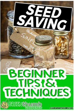Seed Saving Fundamentals | Establish a Legacy | Green Thumb Gardener