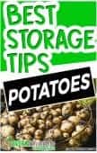 How Long Do Potatoes Last | Tips to Maximize Shelf Life | Green Thumb ...