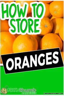 How Long Do Oranges Last | Top Storage Tips | Green Thumb Gardener