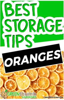 How Long Do Oranges Last | Top Storage Tips | Green Thumb Gardener