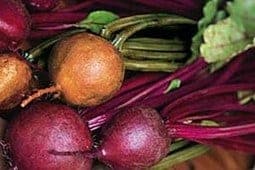 Best Types of Beets To Plant In Your Garden | Green Thumb Gardener