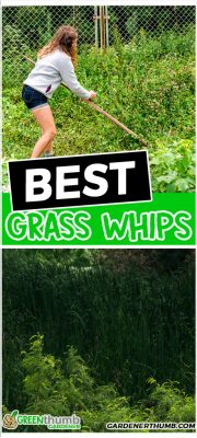 Best Grass Whip To Clear Weeds Fast [2022 Edition] | Green Thumb Gardener