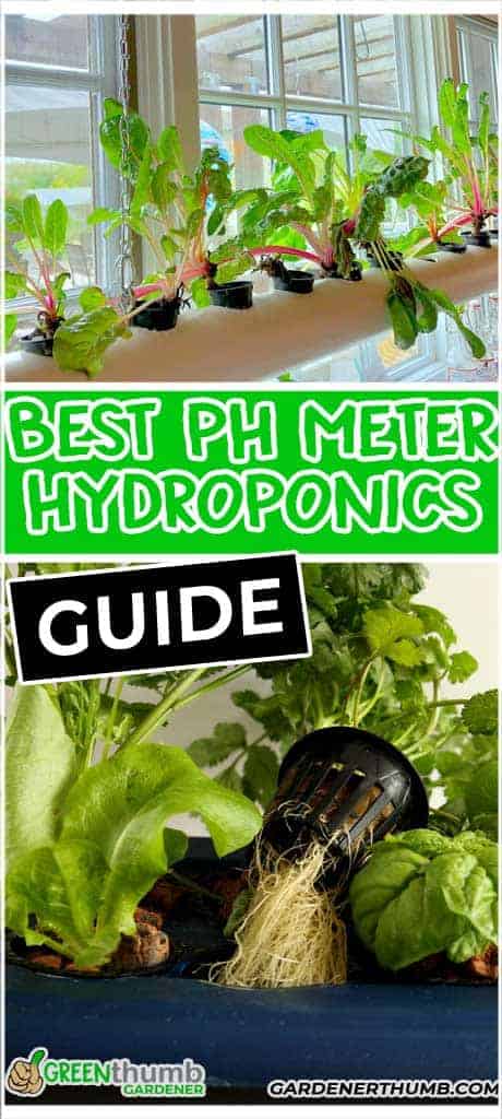 Best pH Meter for Hydroponics | Green Thumb Gardener