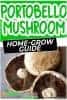 Grow Portobello Mushrooms At Home | Green Thumb Gardener
