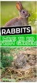 Keep Rabbits Out of Garden | 10 Tips The Natural Way | Green Thumb Gardener