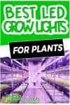 Best King LED Grow Light Review [2022] | Green Thumb Gardener