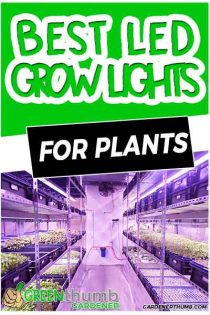 Best King LED Grow Light Review [2022] | Green Thumb Gardener
