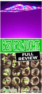 Best King LED Grow Light Review [2022] | Green Thumb Gardener
