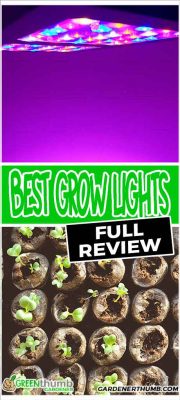 Best King LED Grow Light Review [2022] | Green Thumb Gardener