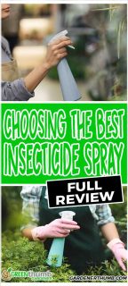 Best Insecticide For Vegetable Garden 2022 | Green Thumb Gardener