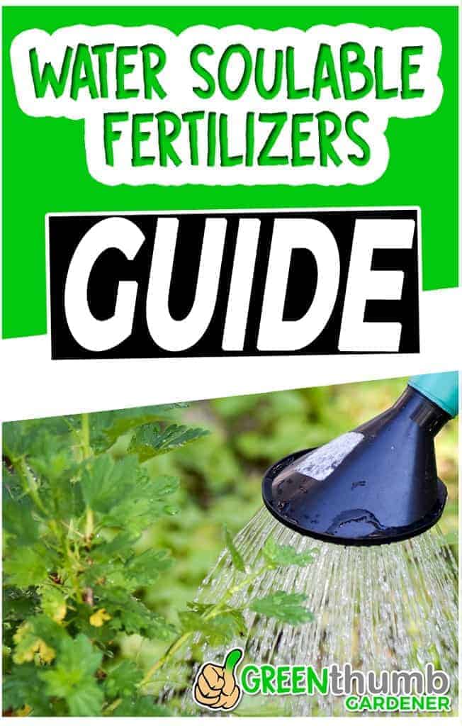 Water Soluble Fertilizer | NPK Fertilizers Series Part 2 | Green Thumb ...