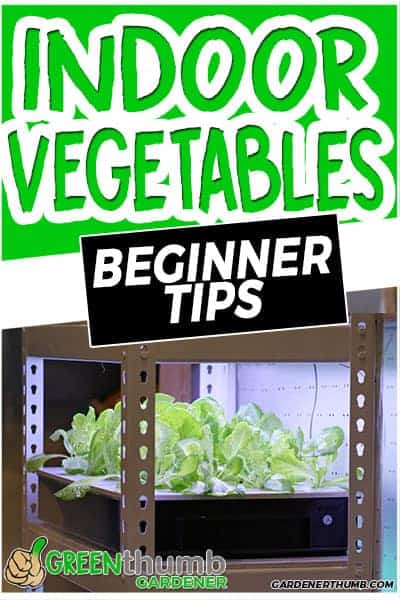 10 Vegetables You Can Grow Inside | Green Thumb Gardener