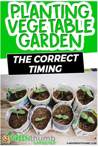 When to Plant A Vegetable Garden | Green Thumb Gardener