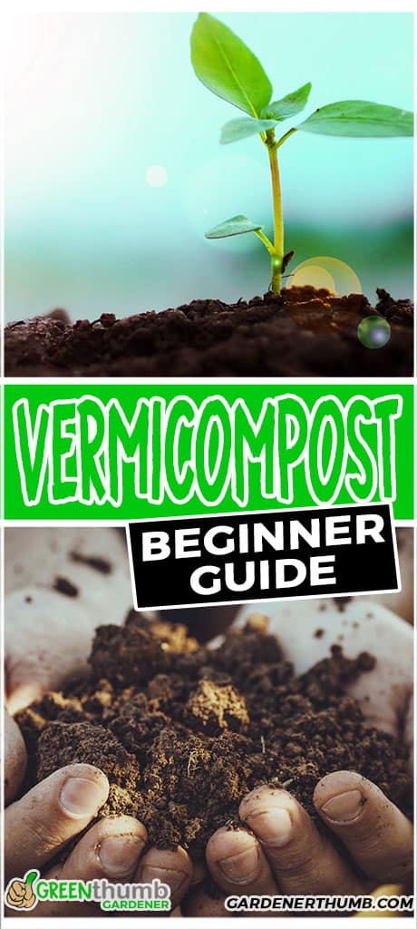 Why Vermicomposting Is Important? [Epic Guide] | Green Thumb Gardener