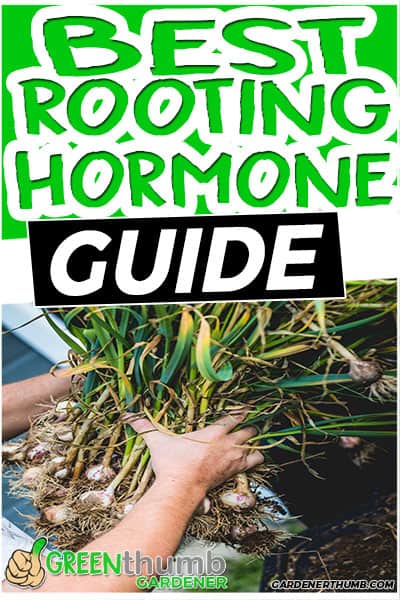 5 Best Rooting Hormone [2022] [Beginner Guide] | Green Thumb Gardener