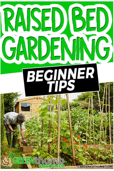 Raised Bed Vegetable Gardening For Beginners [Must Read] | Green Thumb ...