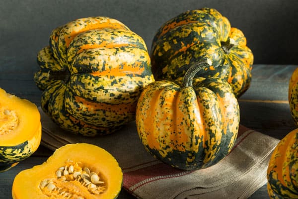 How To Grow Acorn Squash [Beginner Guide] | Green Thumb Gardener
